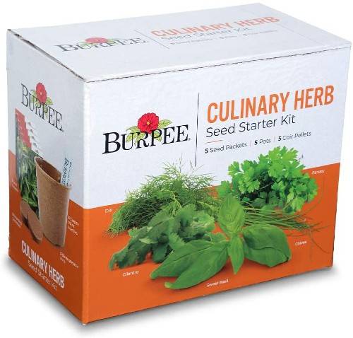 The Best Burpee Seeds: Our Review