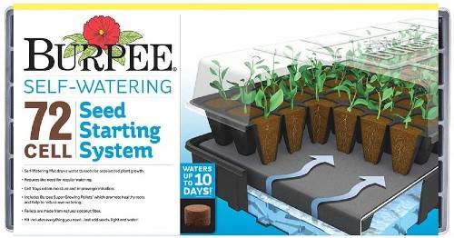 The Best Burpee Seeds: Our Review