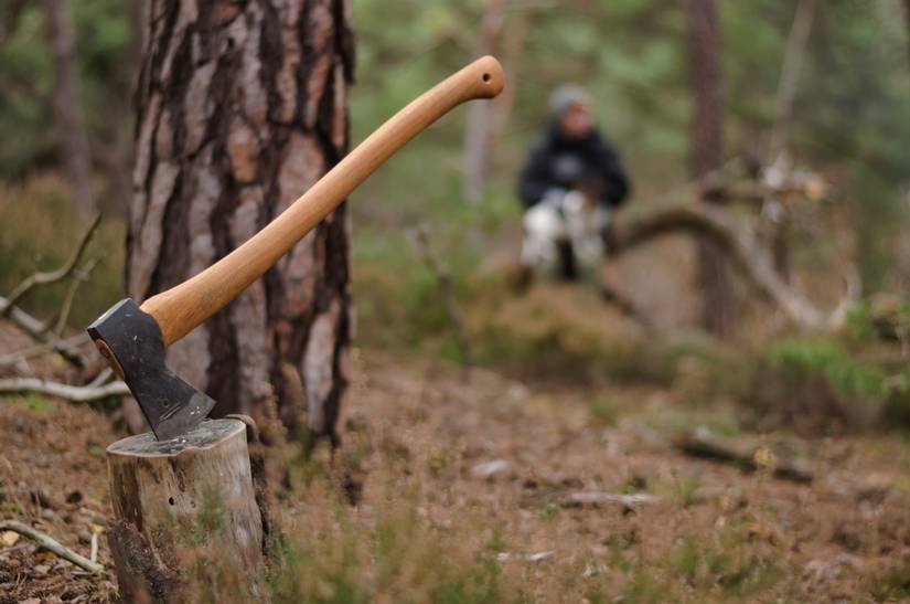 10 Types of Axes and Hatchets
