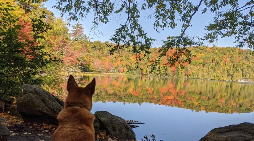 Why I love Fall Camping and How to Get Started