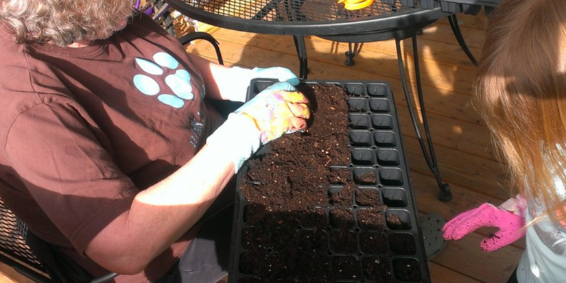 How To Start an Indoor Garden for Beginners