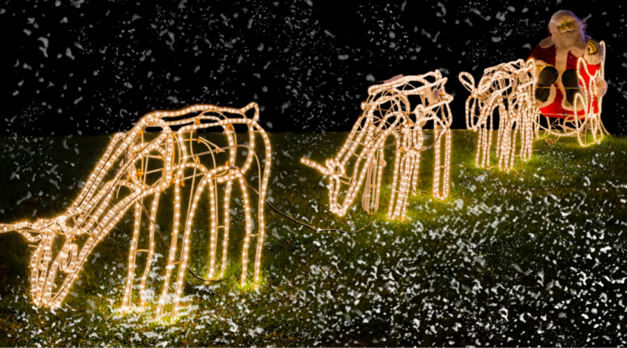 The Best Outdoor Christmas Reindeer Decorations in 2021