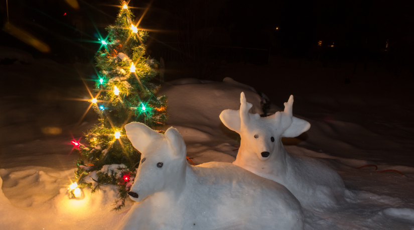 78 Inviting Christmas Walkway Ideas to Wow Your Guests
