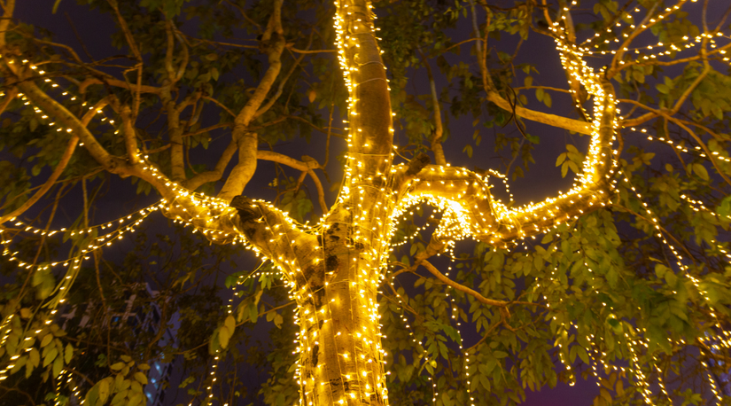 70 Creative Ideas for Hanging Christmas Curtain Lights Outdoors