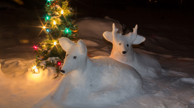 21 Super Fun Things To Do in the Snow