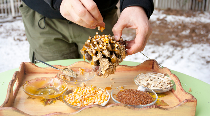 52 DIY Winter Bird Feeder Ideas