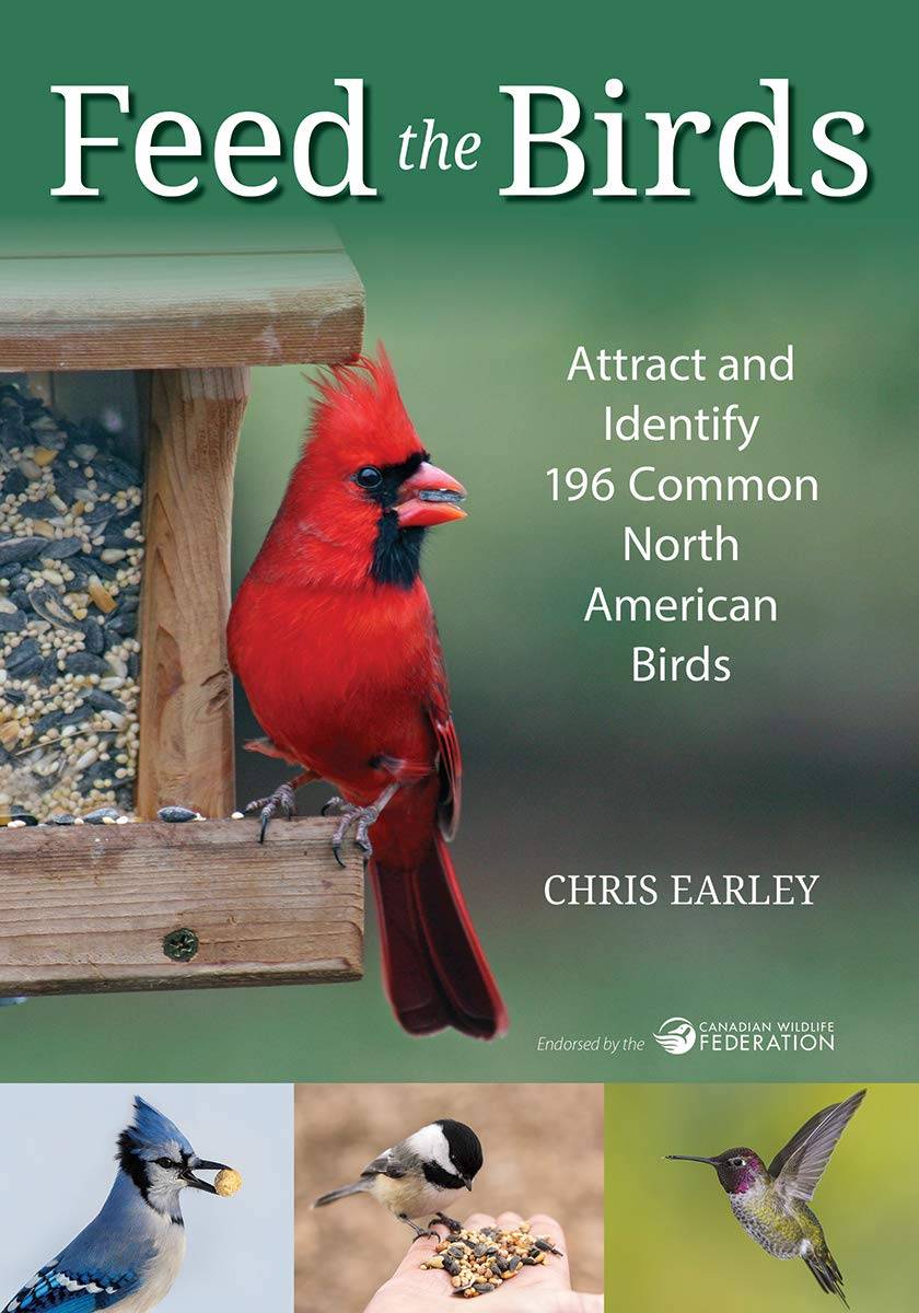The Best Backyard Bird Guides for 2022