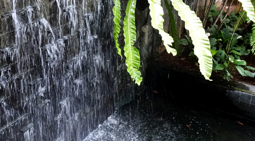 52 Water Wall Ideas for Indoors or Outdoors