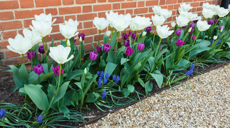 52 of the Best Landscape Edging Ideas