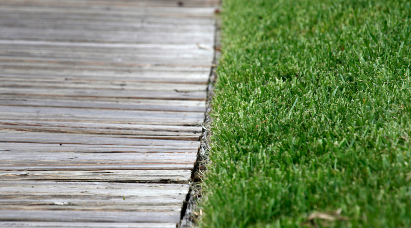52 of the Best Landscape Edging Ideas