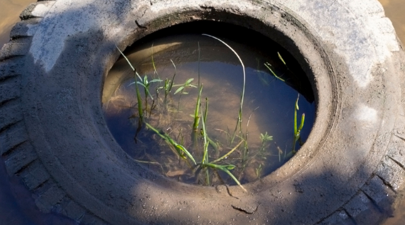 50 DIY Water Feature Ideas for Your Home and Backyard