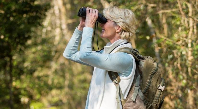 What Are The Benefits of Birdwatching?