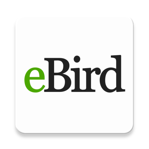 The 14 Best Birding Apps