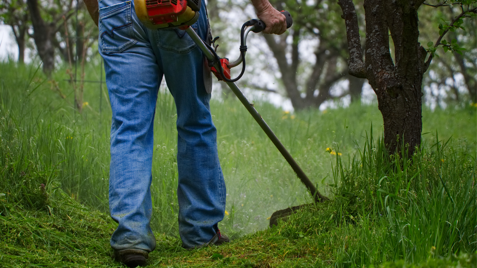 The Best Brush Cutters to Get Your Yard Cleaned Up