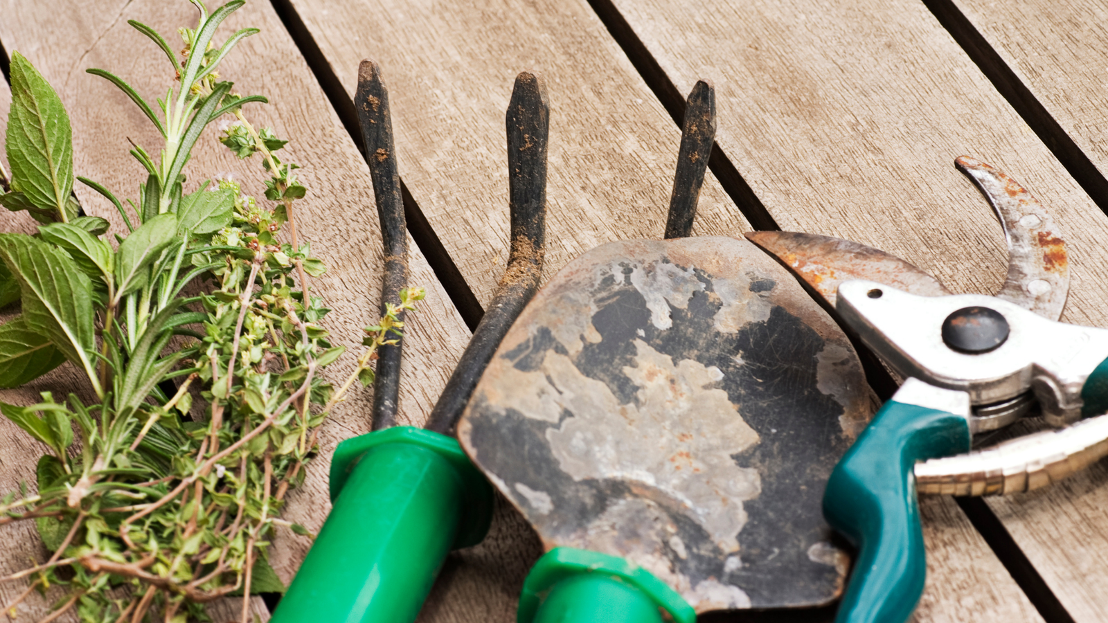 12 Essential Garden Tools for the Beginner