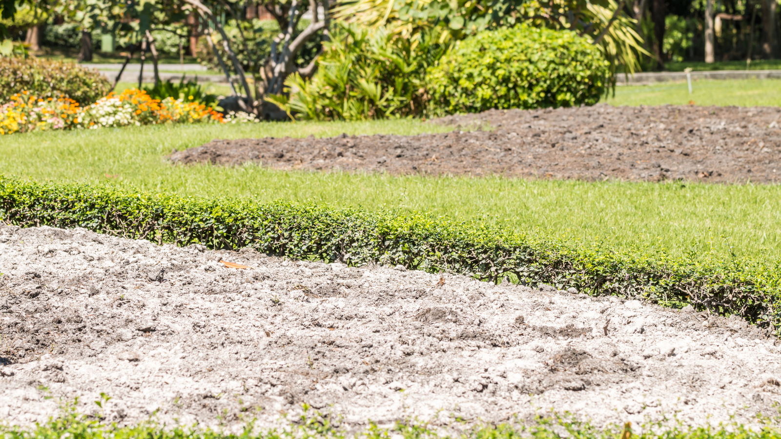 The Benefits of Adding Lime to Your Soil