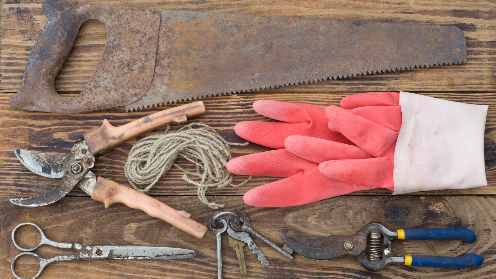 How To Remove Rust From Your Garden Tools