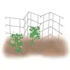 9 Products To Help Support Your Garden Veggies