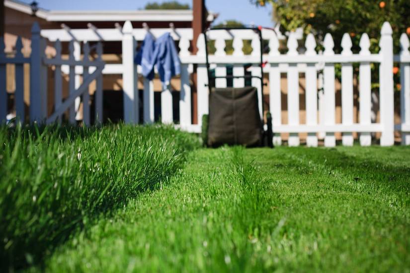 How To Fix an Over-Fertilized Lawn