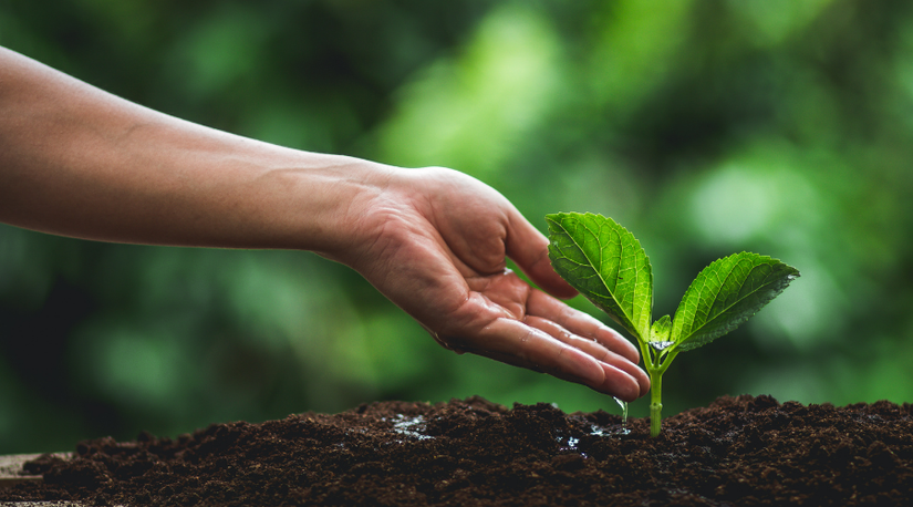 How Deep Should You Plant Seeds?