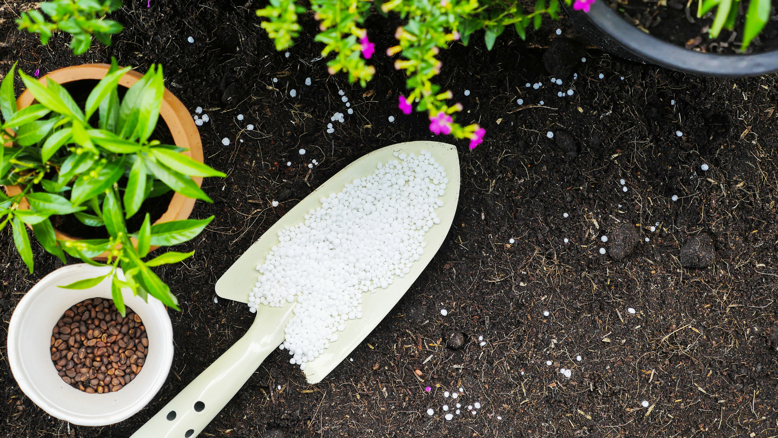 Spring Gardening Jobs To Get Your Garden In Shape