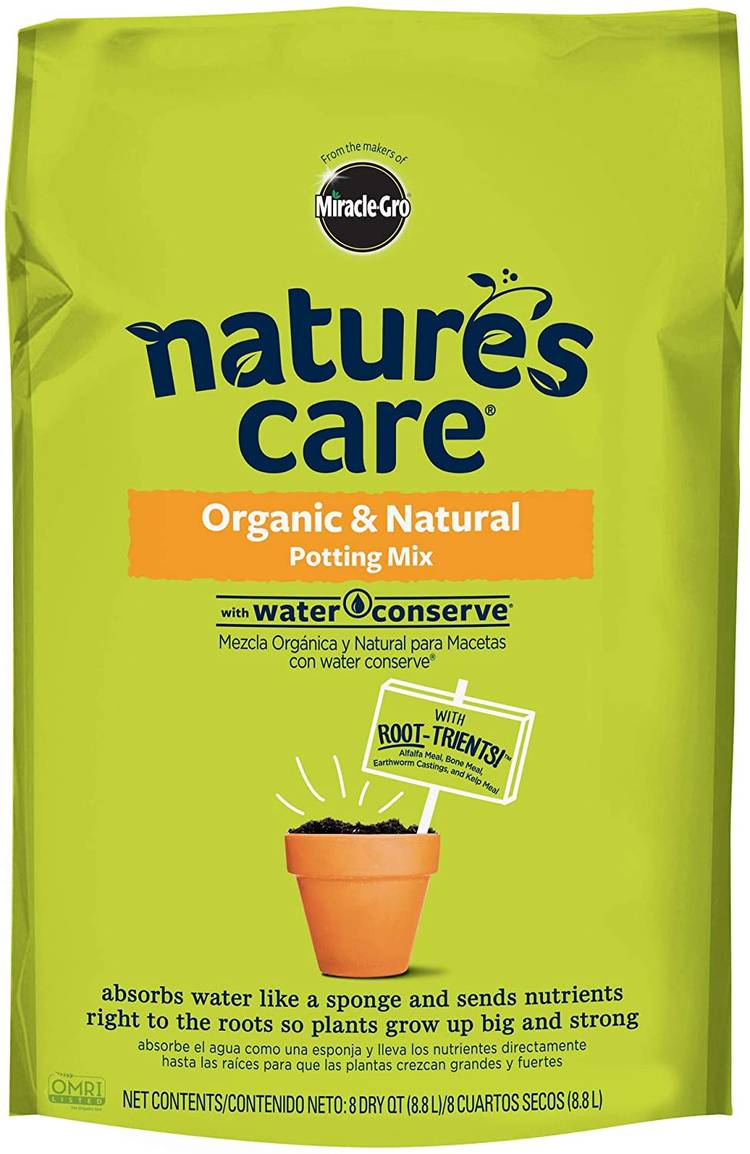 The Best Potting Mix For Container Plants