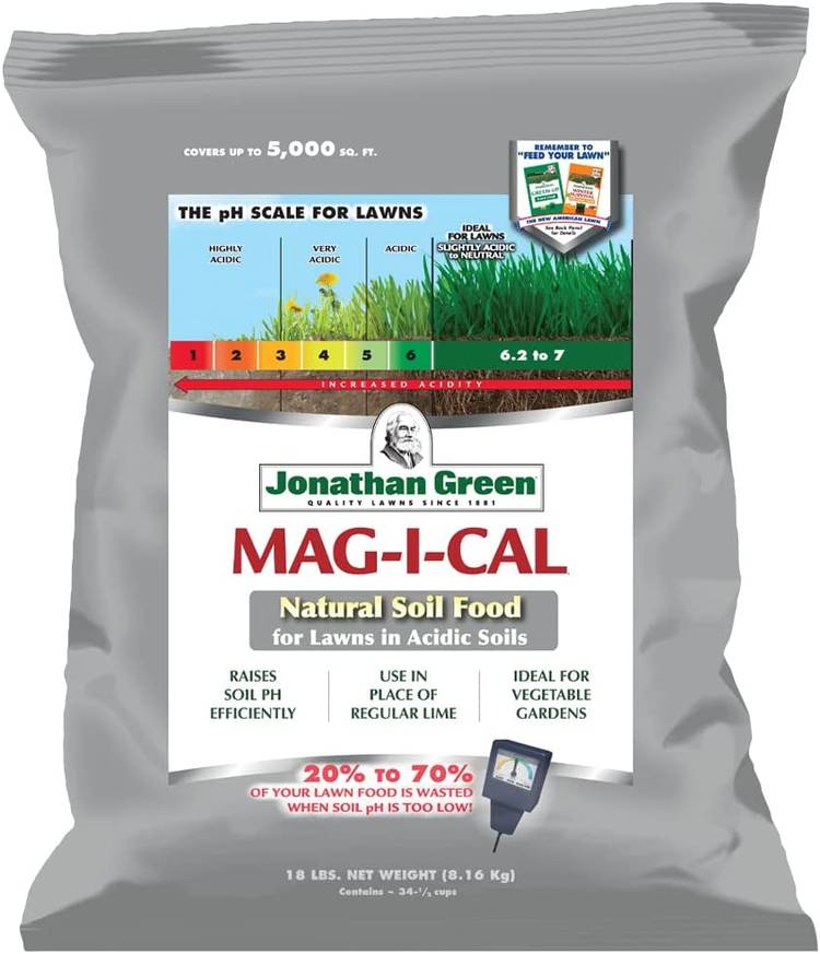 8 Ways To Add Calcium to Your Soil