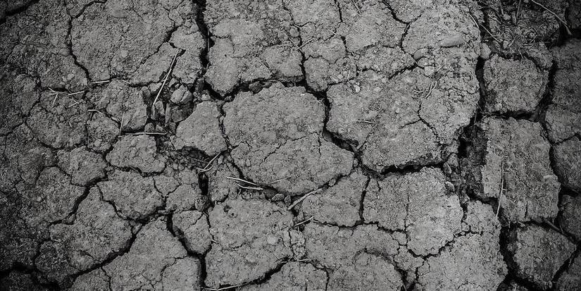 Good Soil Vs Bad Soil How To Tell The Difference