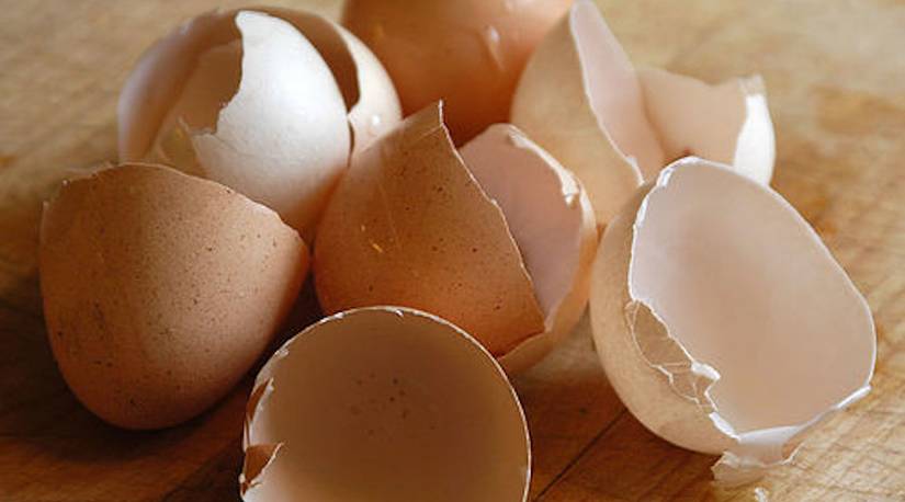 How To Use Eggshells In Your Garden