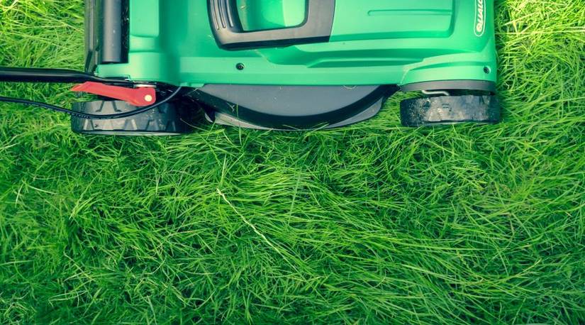 How To Mow a Lawn Correctly