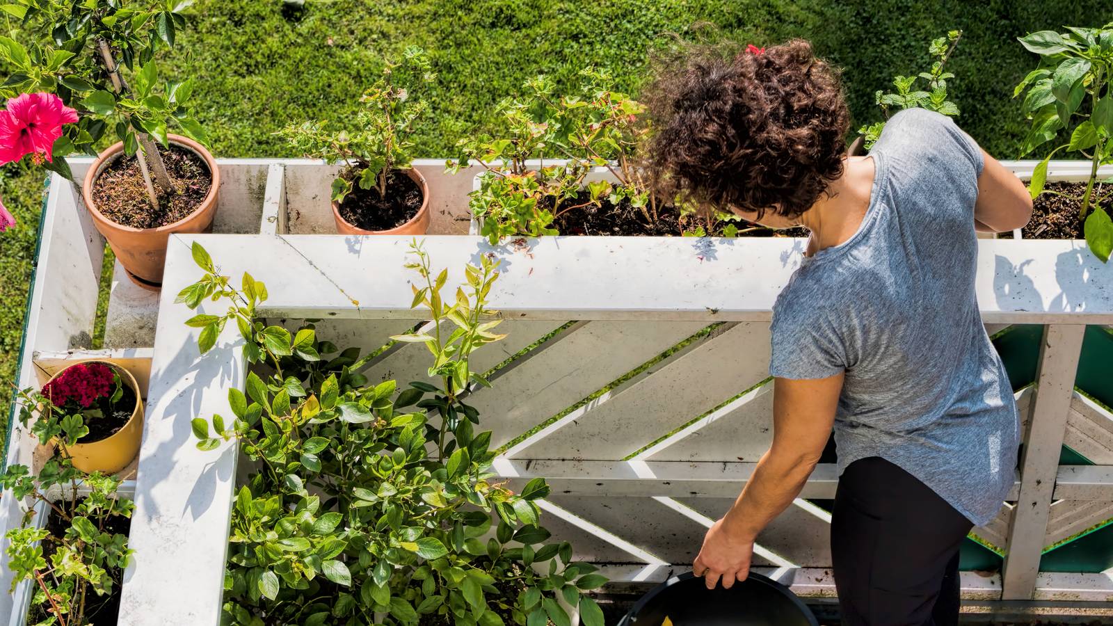 How To Compost On a Balcony