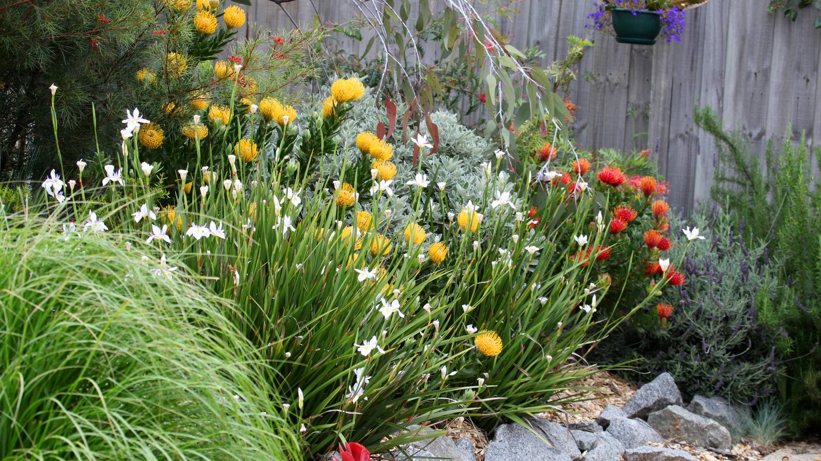Choose These Native Alternatives to Invasive Plants