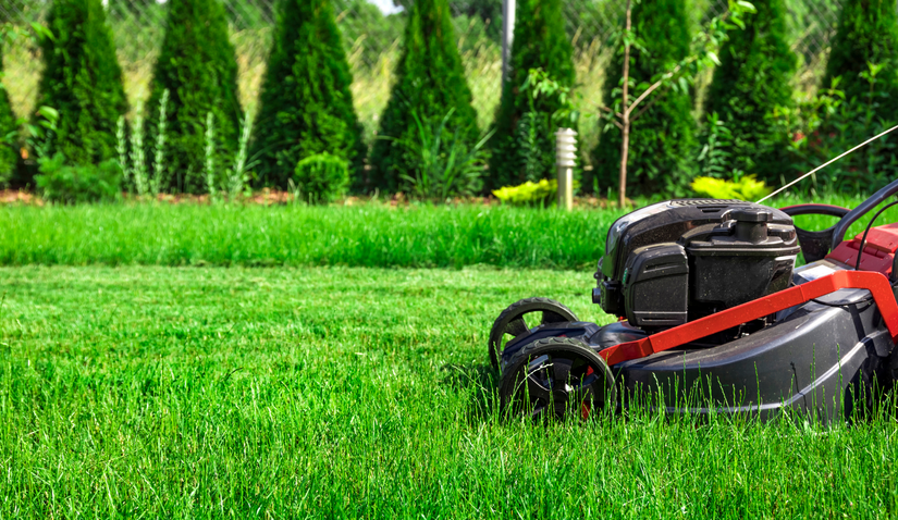 Are You Cutting Your Grass Too Short?