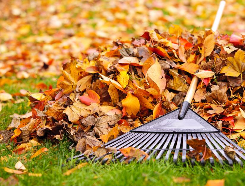 5 Composting Mistakes You May Be Making