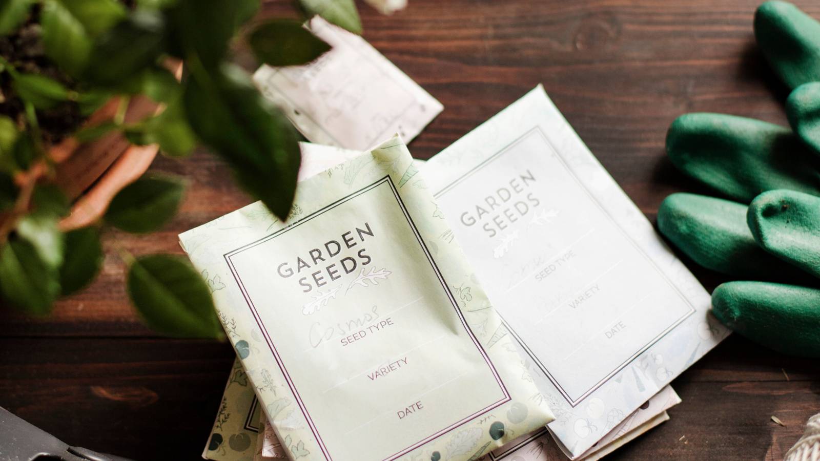 9 Ways To Store Seeds