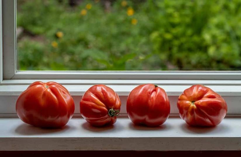 7 Best Heirloom Tomato Varieties for Your Garden