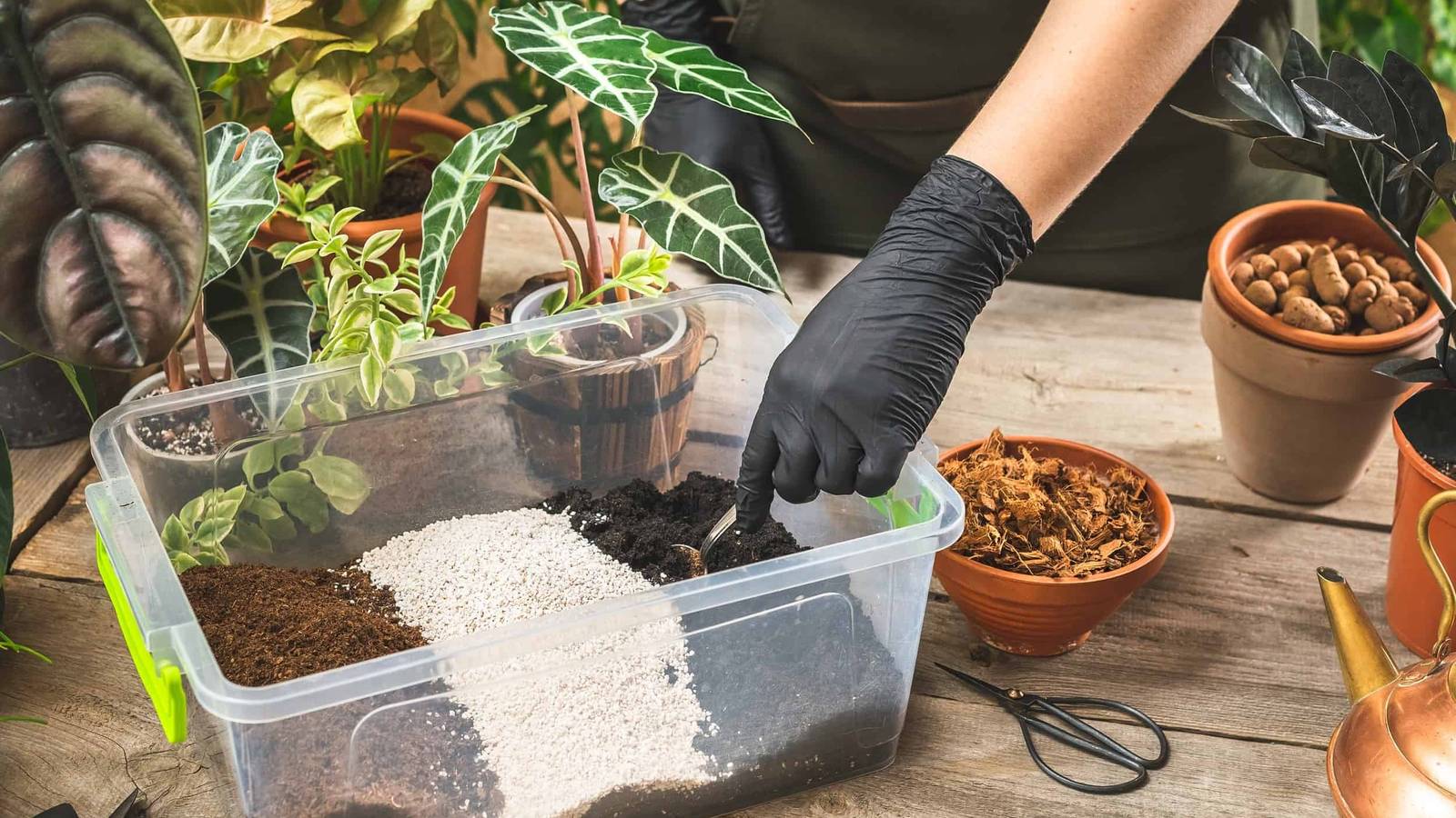 How To Make Your Own Garden Soil