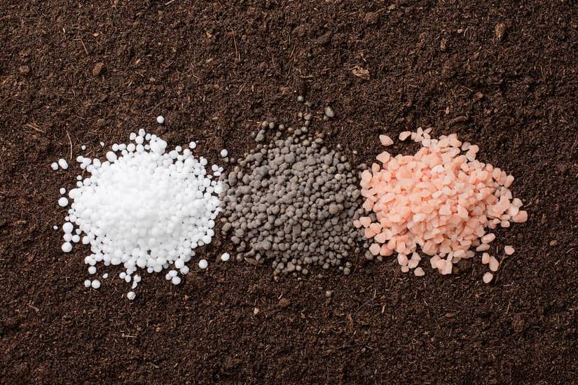 What Is Soil Conditioner & Should You Use It?