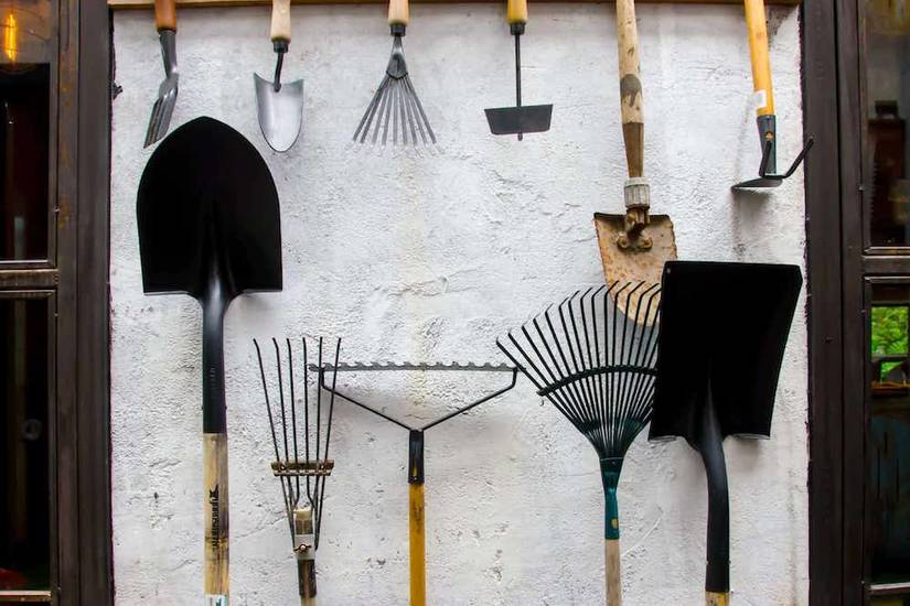 6 Gardening Supplies You Can Get for Free