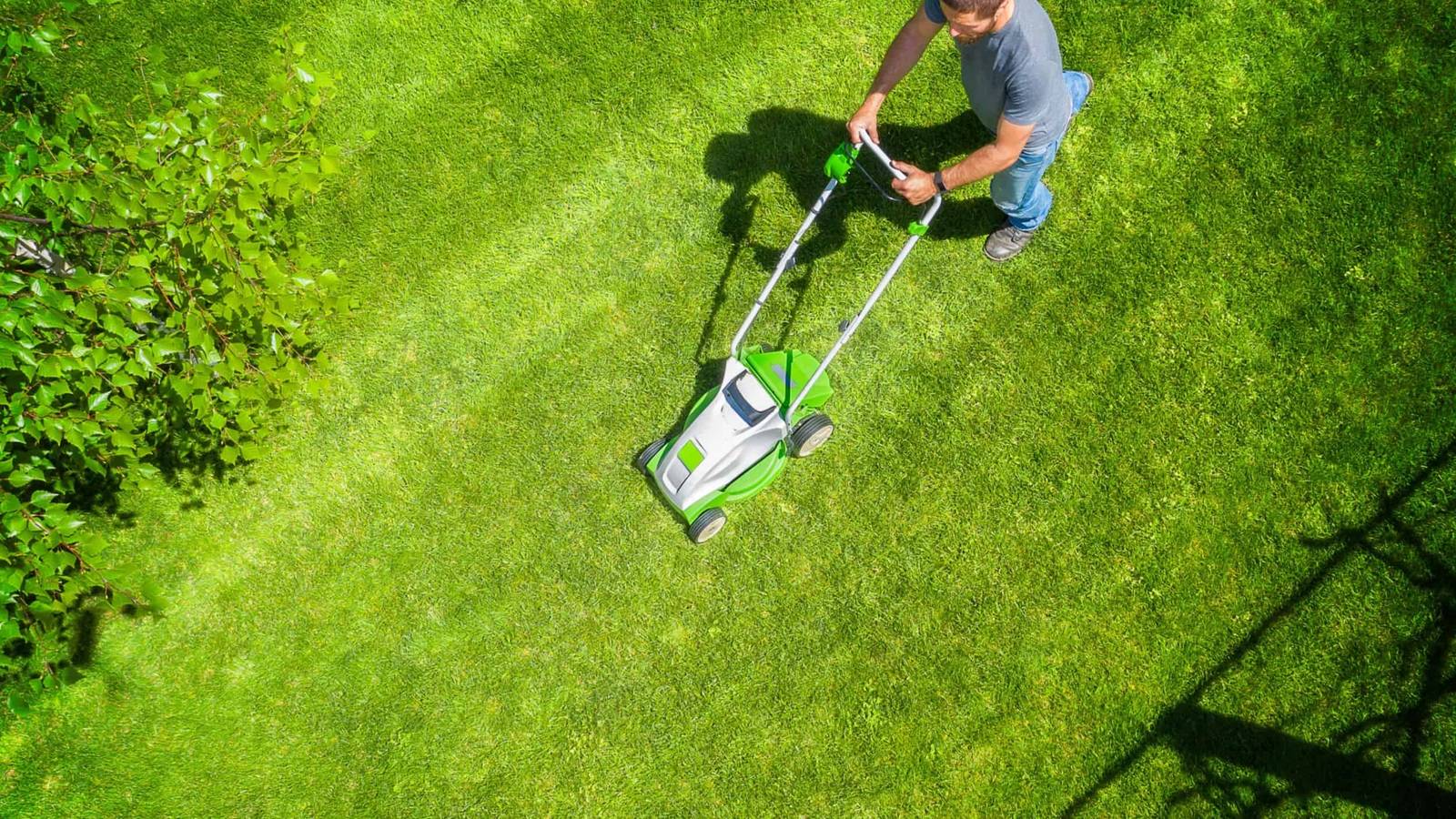 7 Mowing Mistakes To Avoid