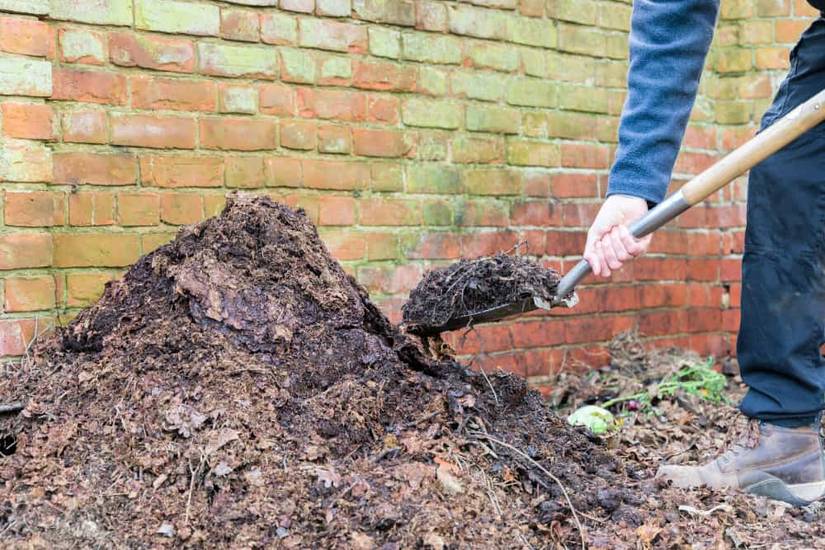 How to Use Compost in Your Garden
