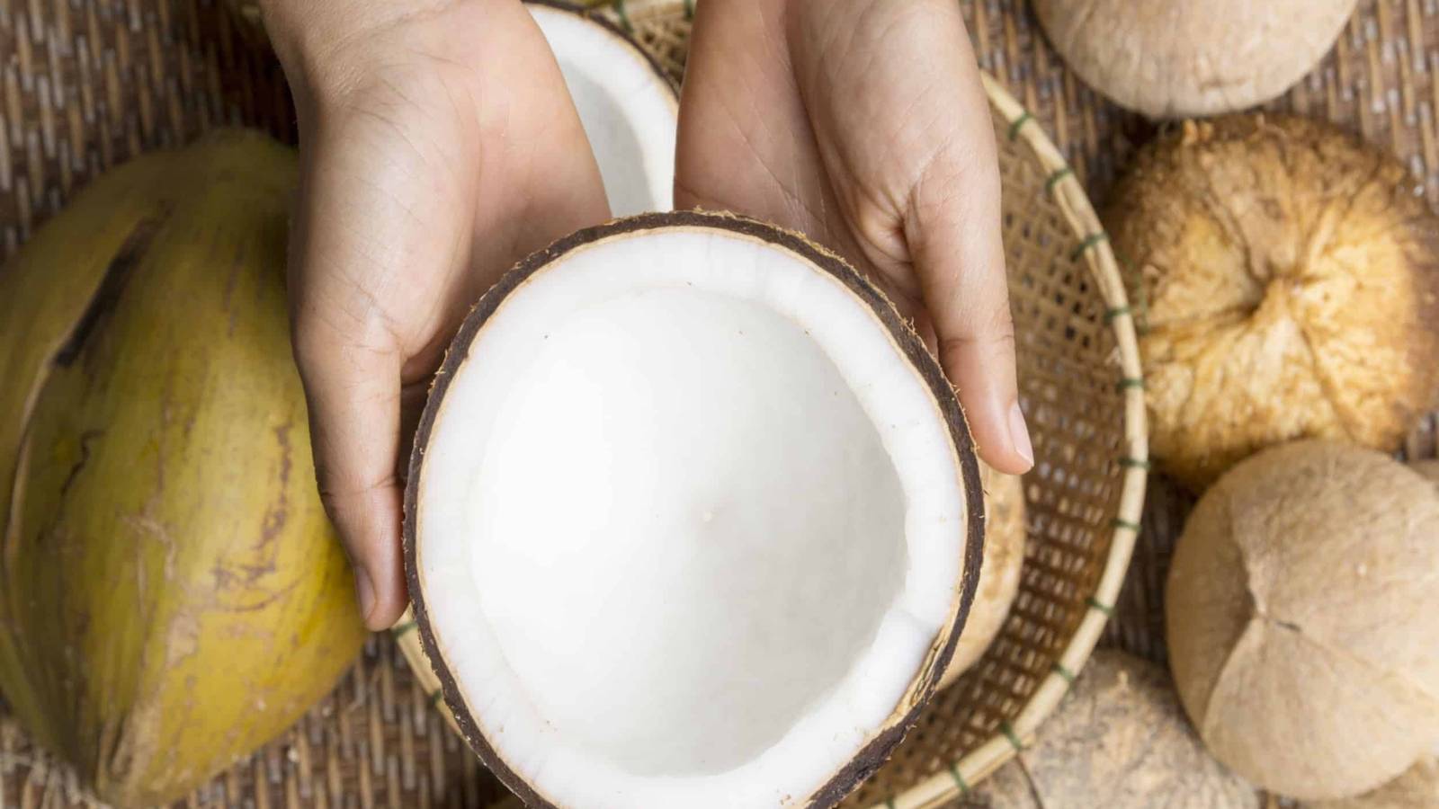 4 Reasons To Use Coconut Coir in Your Garden
