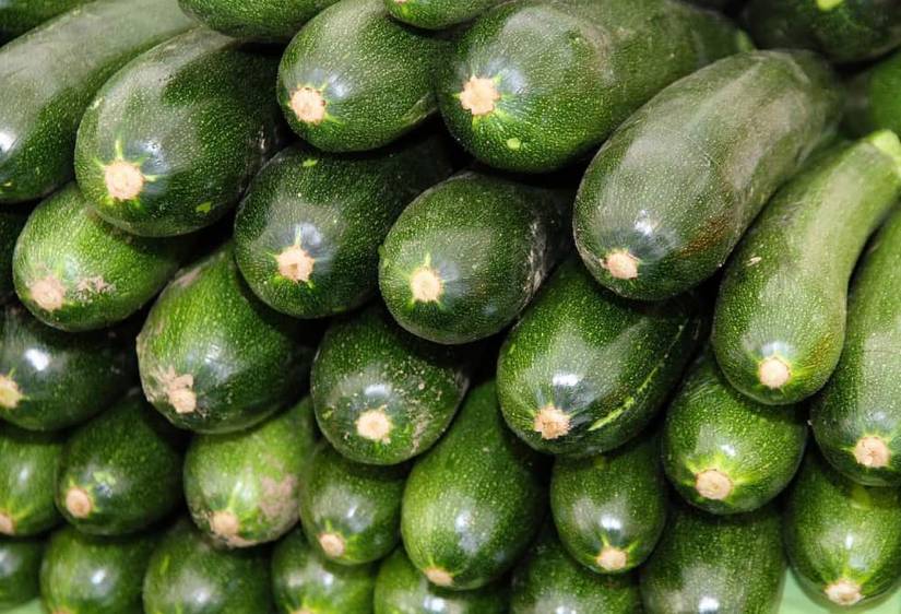 How to Grow Zucchini