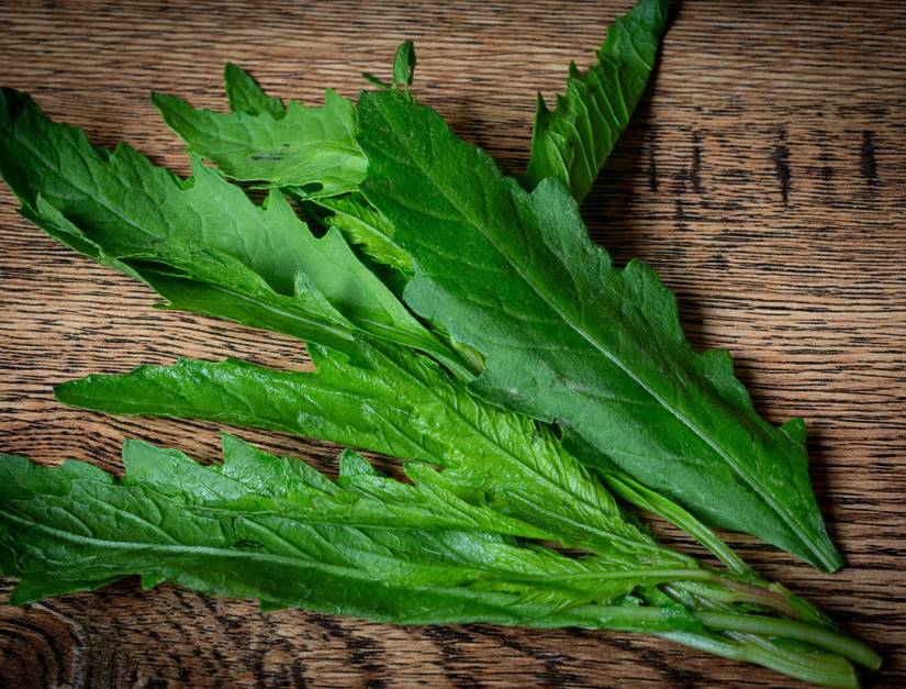 How to Grow Epazote in Your Herb Garden
