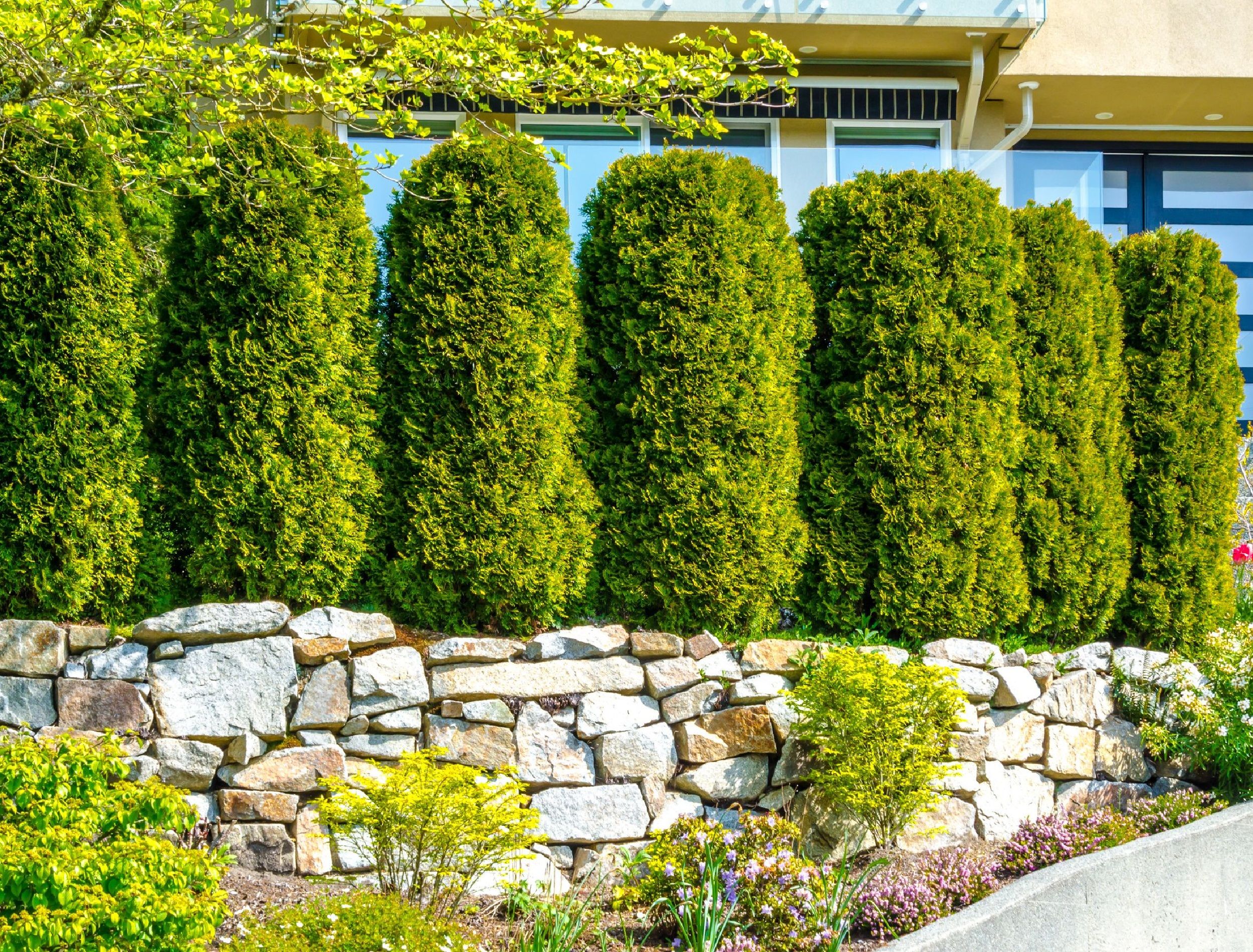 5 Property Line Landscaping Ideas