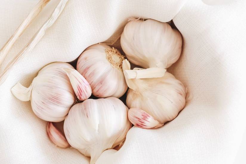5 Tips for Growing Garlic
