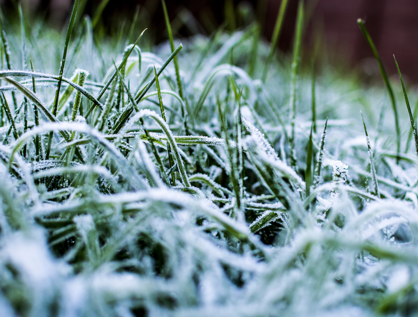 6 Tips For Reviving Your Lawn After Winter