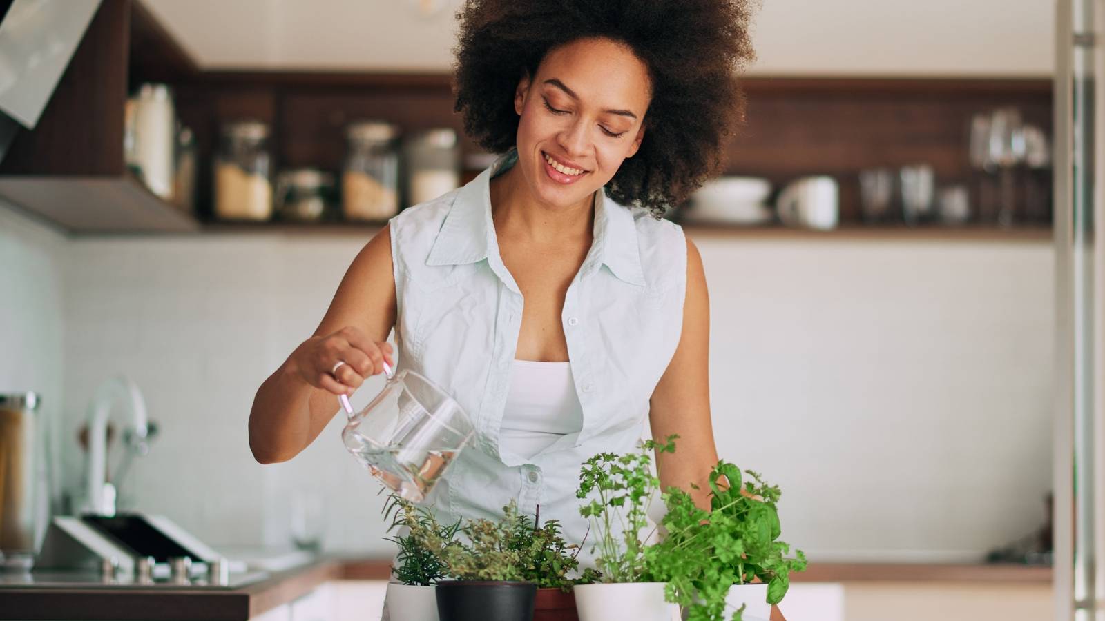How to Grow a Kitchen Herb Garden