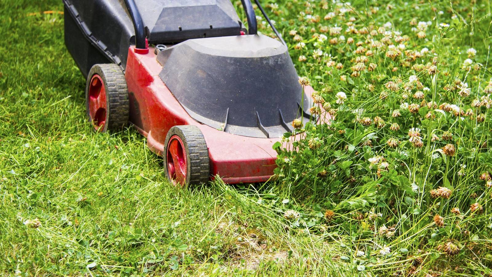 7 Mistakes Everyone Makes When Mowing Their Lawn