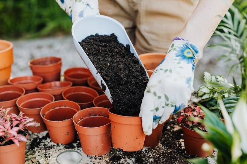 Are Plastic Containers Safe For Gardening?